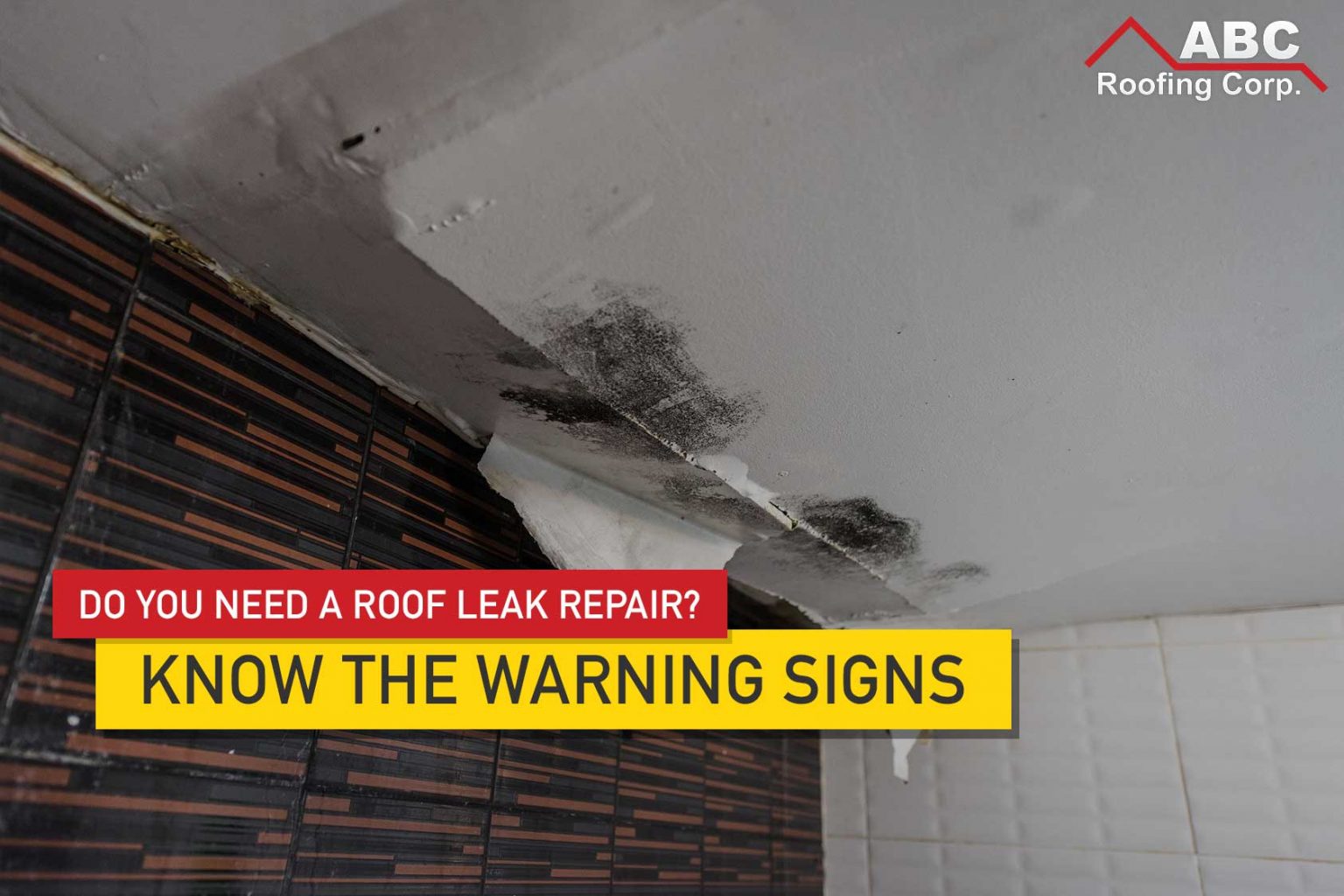 Top Warning Signs that You May Need A Roof Leak Repair